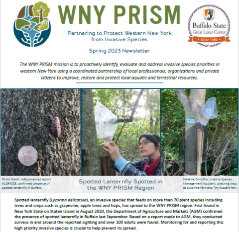 Spring 2023 Newsletter Released! | WNY PRISM