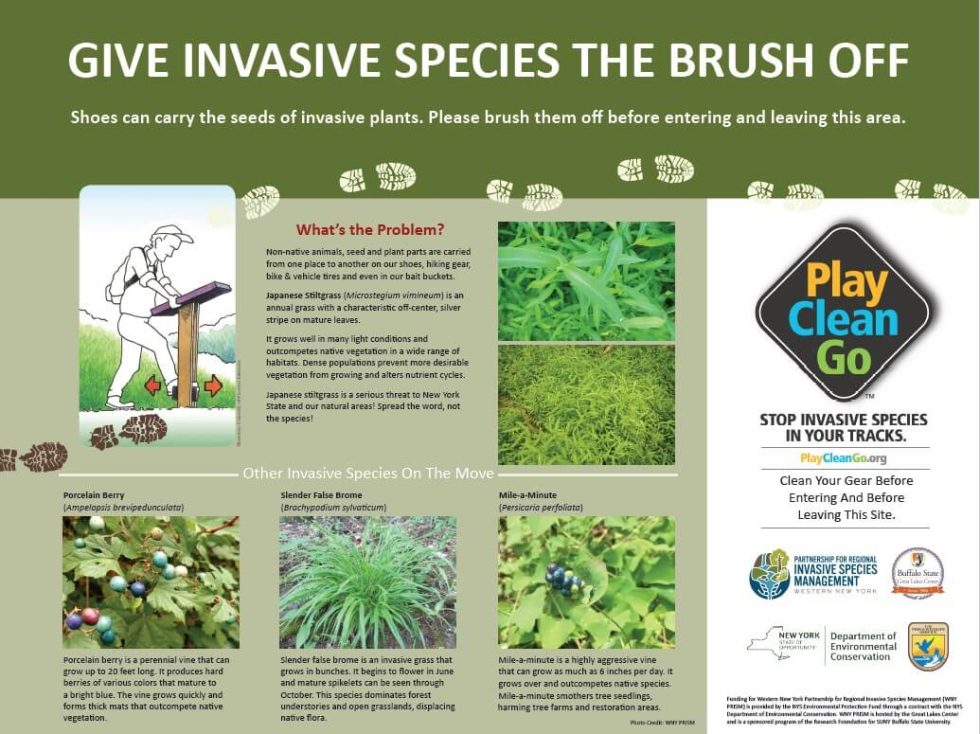 Boot Brush Stations | WNY PRISM